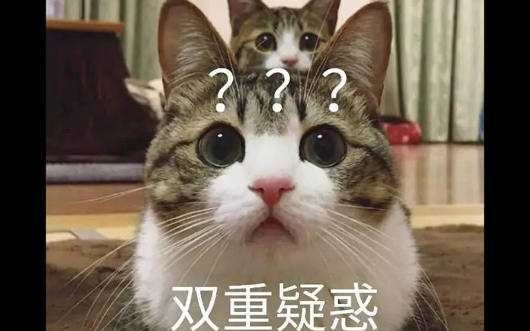 IQOO自带浏览器打不开文件,应该怎么办呢?