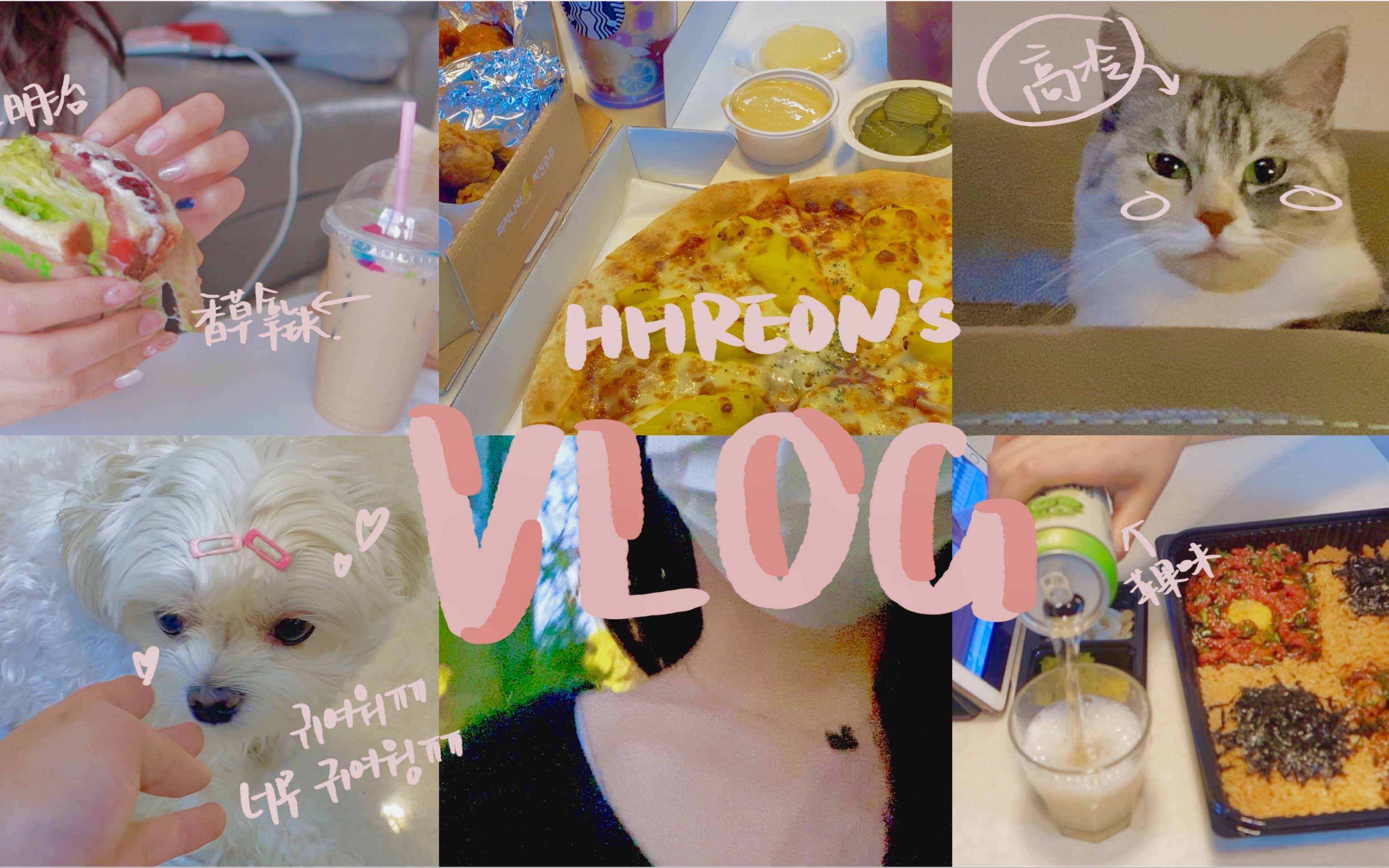 韩国留学Vlog|韩国大学生的两周日常|朝天火热无法停止的小组讨论|...