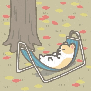刨老师 