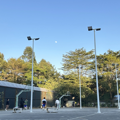 寻找微风 