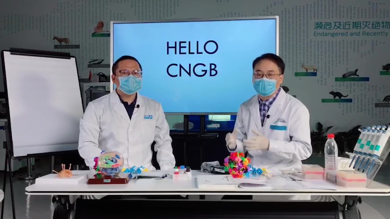 病毒是怎样感染人类的?核酸检测和抗体检测有啥区别?