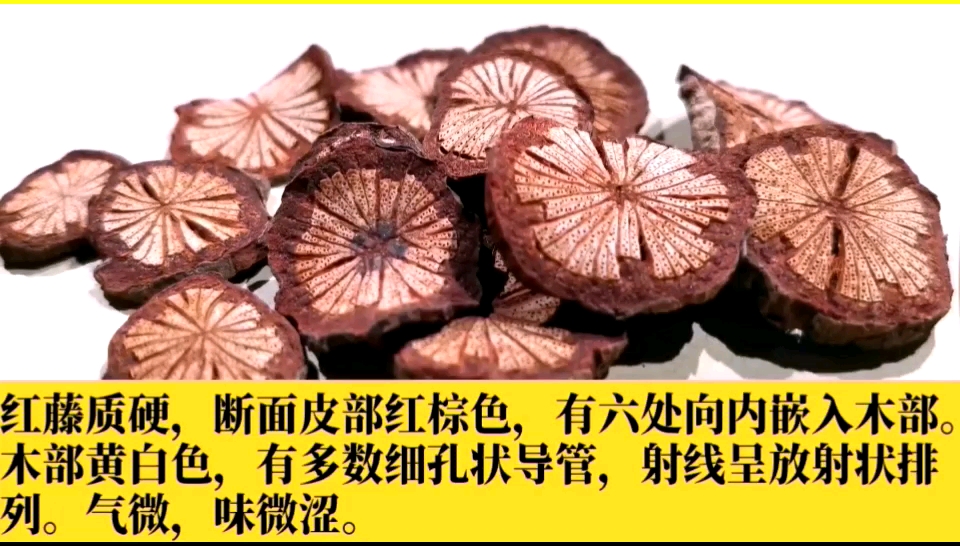 红藤的功效与鉴别