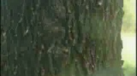 故事表演《小熊请客》.flv