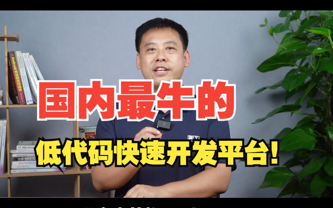 国内最牛的低代码快速开发平台!