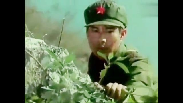 自卫反击战,八一电影制片厂出品,经典影片,回味无穷!