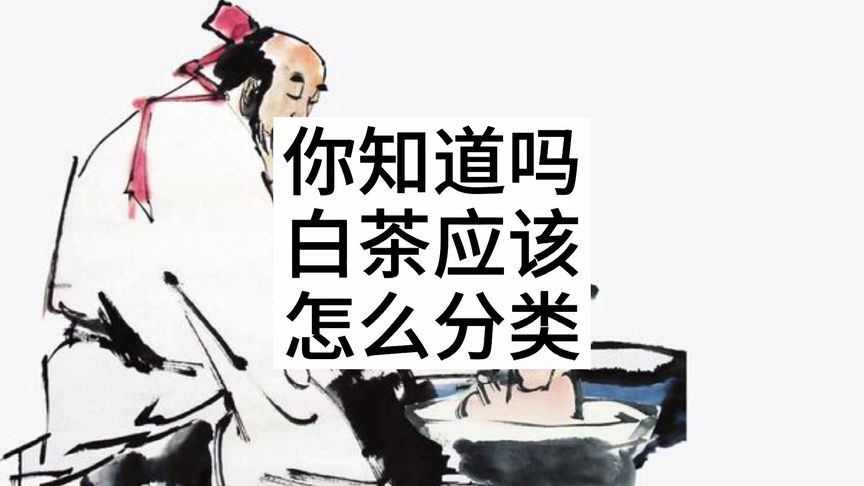 你知道白茶怎么分类吗?多了解了解!买茶叶不上当!