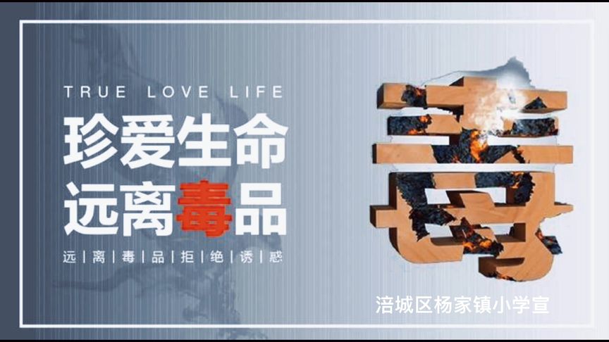 #国际禁毒日 #禁毒宣传 校园禁毒教育,杨家小学在行动。