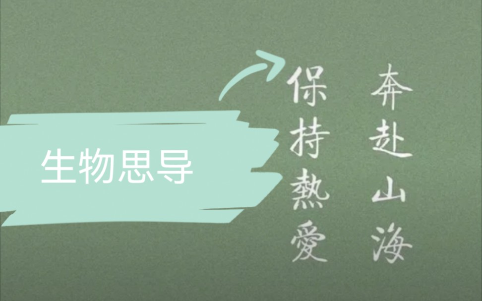 生物选择性必修一全册思维导图完结