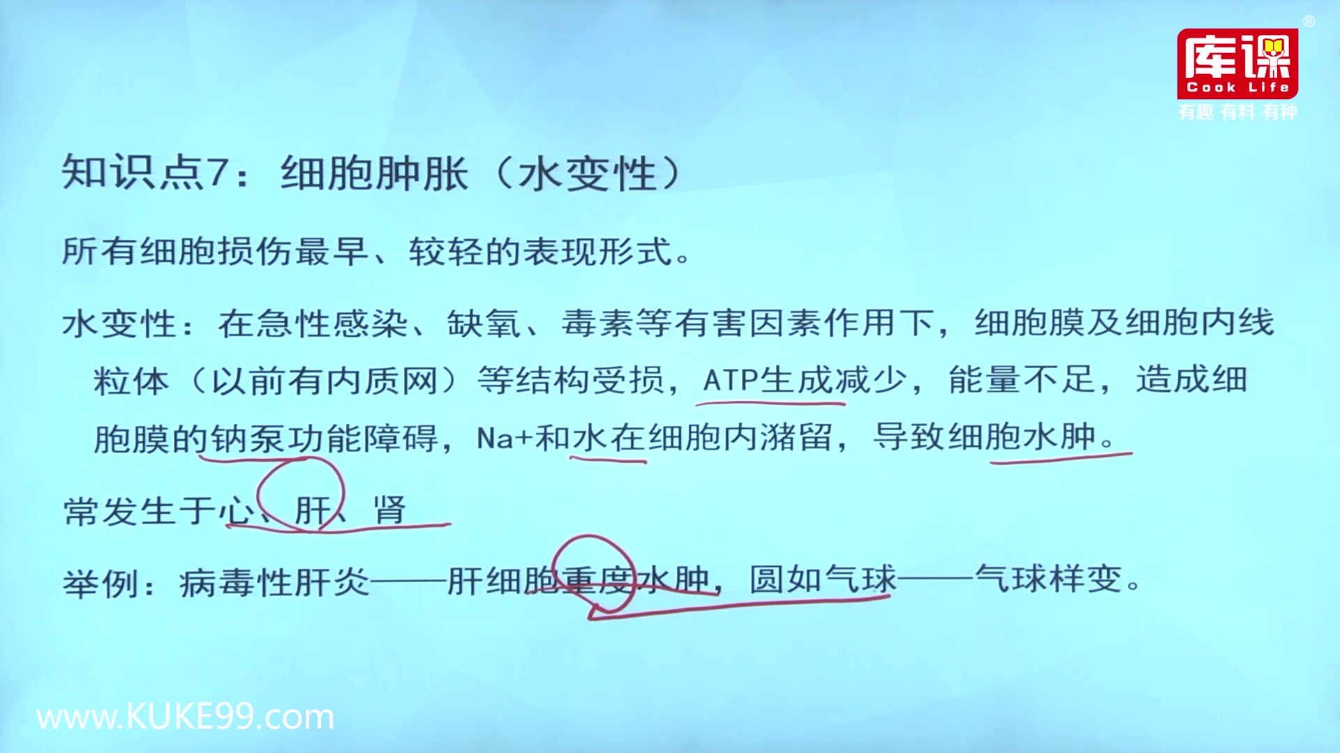 2020河南专升本病理学基础精讲课-第2章 细胞和组织的适应和损伤-2...