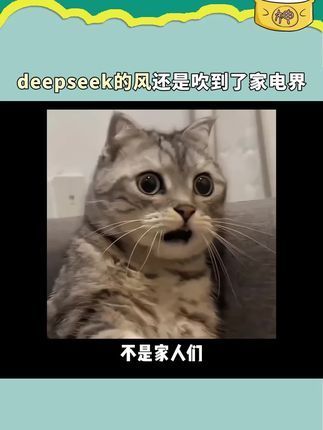 好家伙,以前写在作文里的梦想终于实现了!#AI里AI气的家电 #董宇辉王...