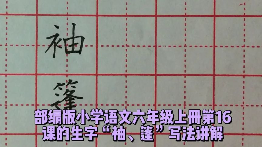 部编版小学语文六年级上册第16课的生字“袖、篷”写法讲解