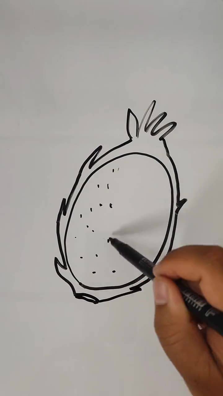 简笔画教程--切开的火龙果