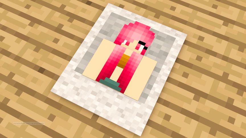 我的世界:制作漂亮的双面女孩皮肤,新手全程教学