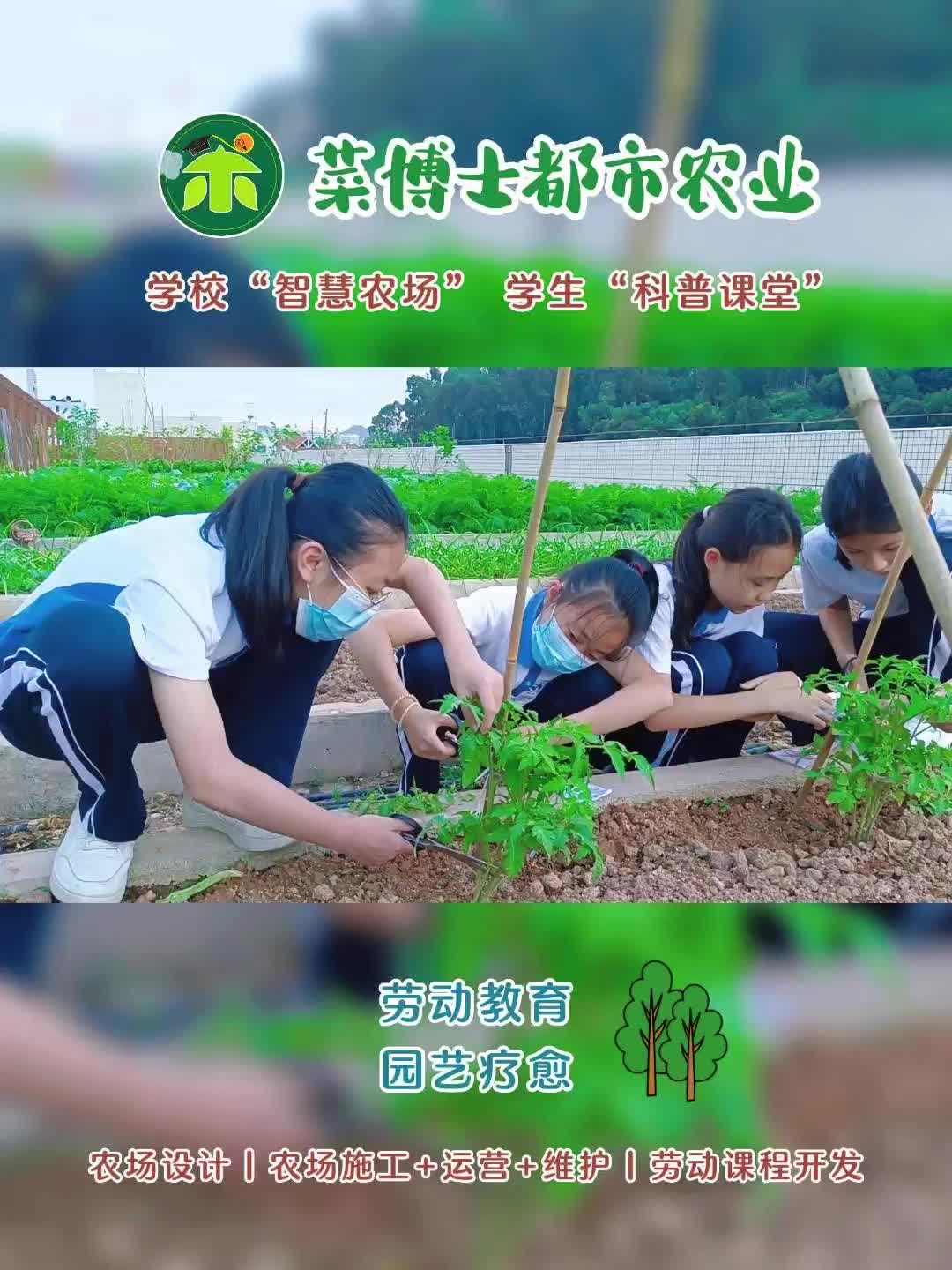 东莞劳动教育实践基地,深圳社会实践基地展示学生劳动教育中;企业...