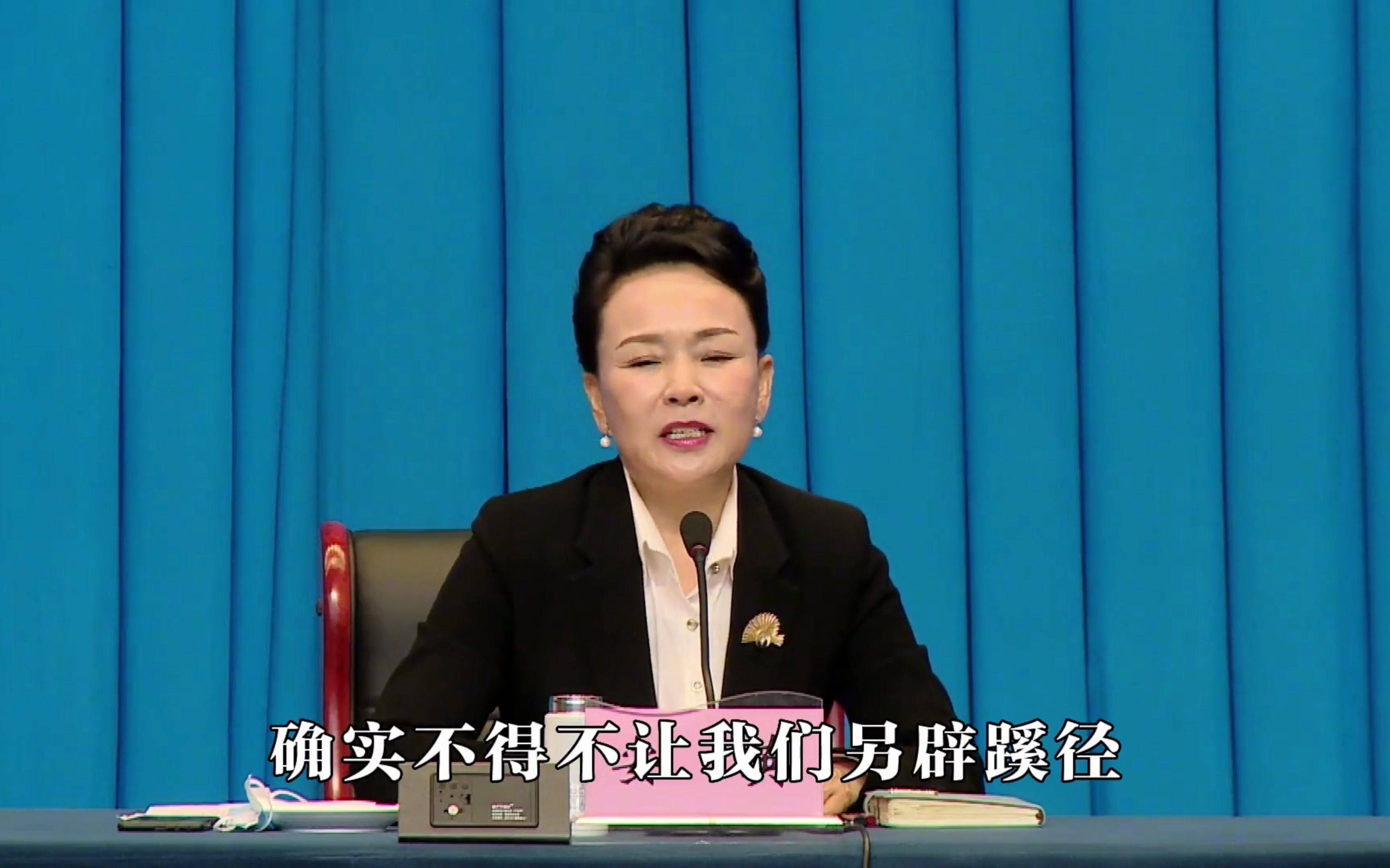 安英大会上即兴讲话:不采花蕊怎能酿成蜂蜜?不四处飞寻,怎能找到花海?!