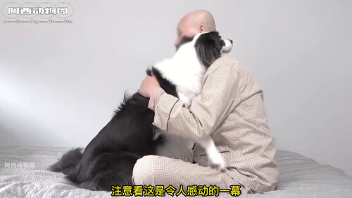 主人生病后剃光长发,当狗狗再次见到主人时,它的表现让人暖心!