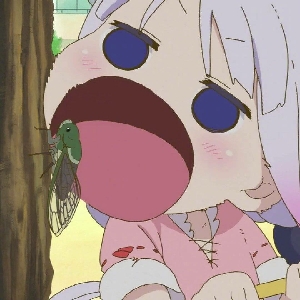 萤萤萤呀 