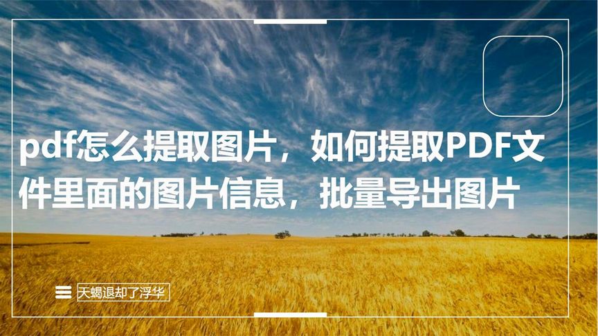 pdf怎么提取图片,如何提取PDF文件里面的图片信息,批量导出图片
