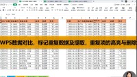 职场办公WPS表格处理视频教程 第16集 WPS数据对比,标记重复数据...