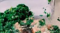 荠菜的功效与作用
