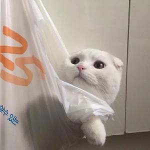 煲仔饭真好次 
