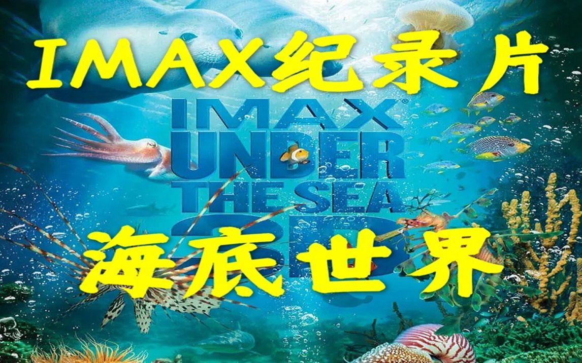 【纪录片】首部IMAX海底立体纪录片《海底世界》1080P 英语发音 ...