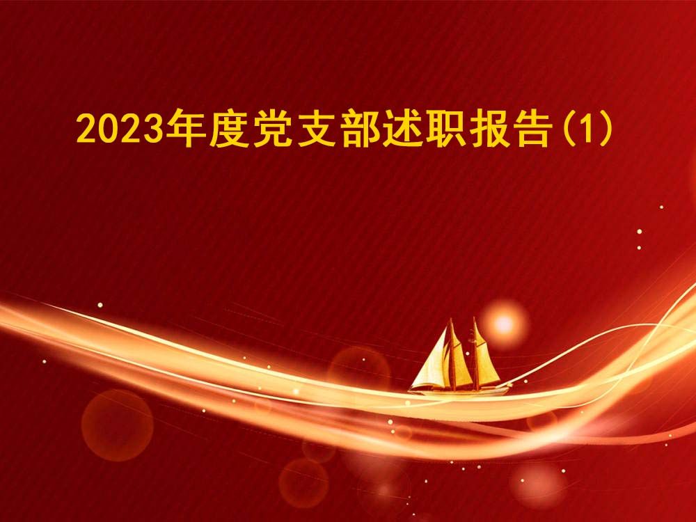 2023年度党支部述职报告(1)