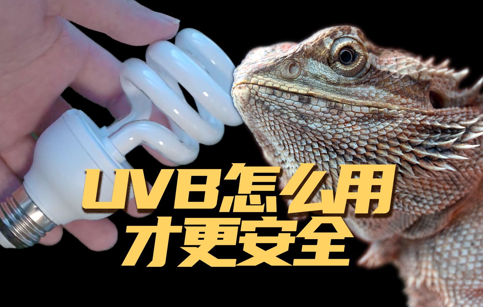 【青科普】UVB灯怎么用才安全?收藏备用!