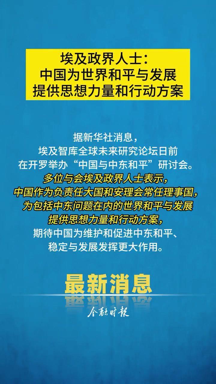 埃及政界人士:中国为世界和平与发展提供思想力量和行动方案