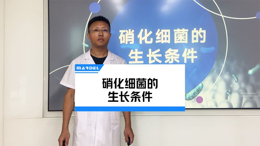 硝化细菌在什么条件下,效果最好?