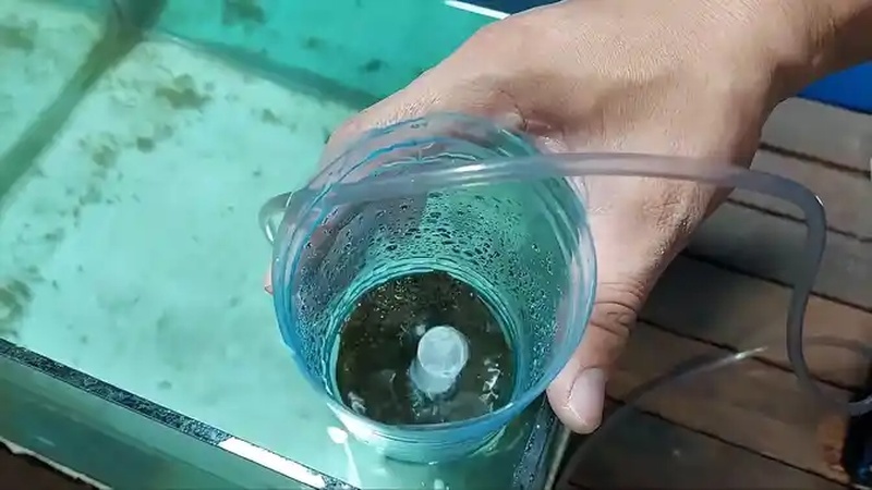 硝化菌:水世界的"隐形清洁工"