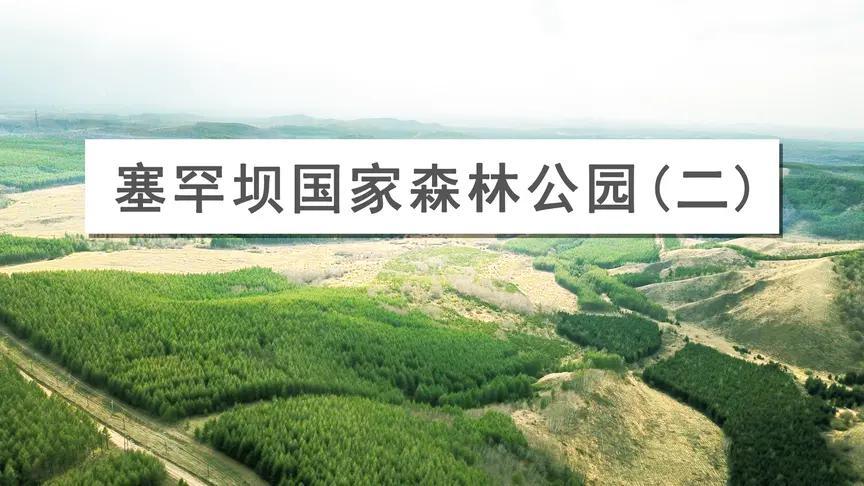 河北围场县塞罕坝国家森林公园,三代人骄傲的.