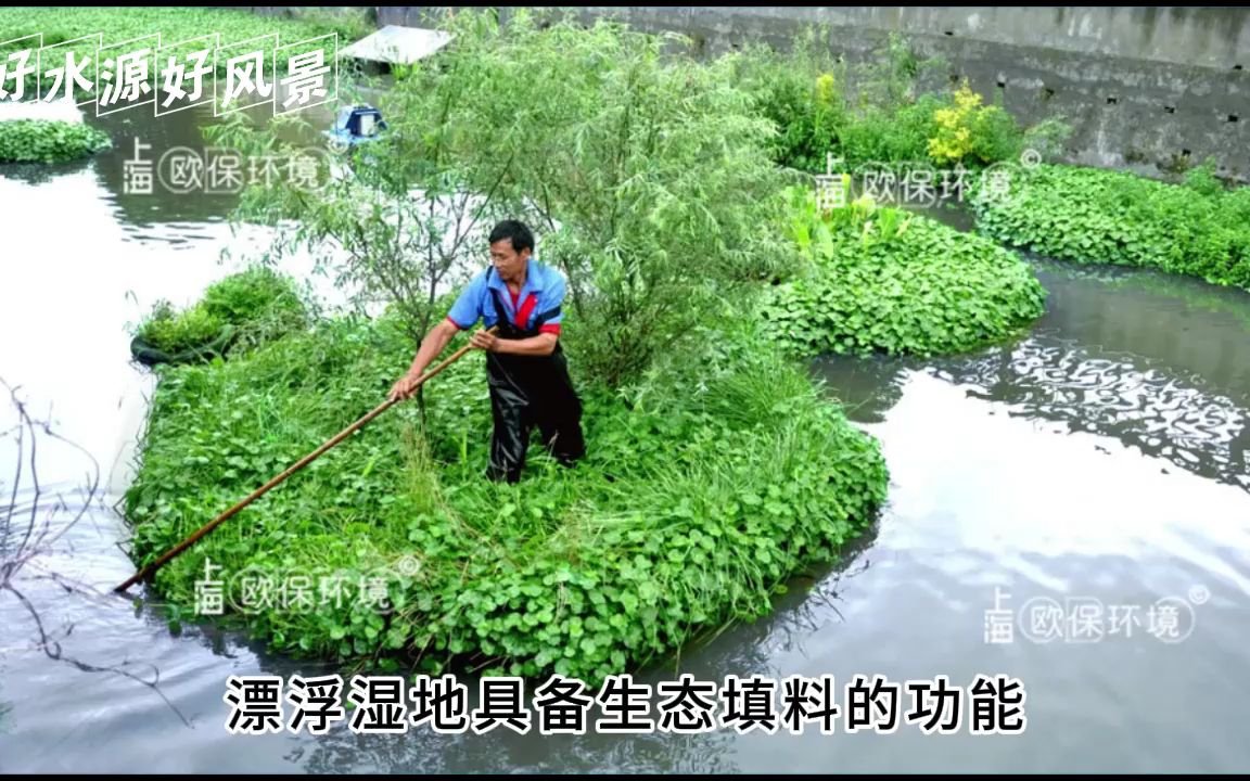 水体富营养化治理措施有哪些?