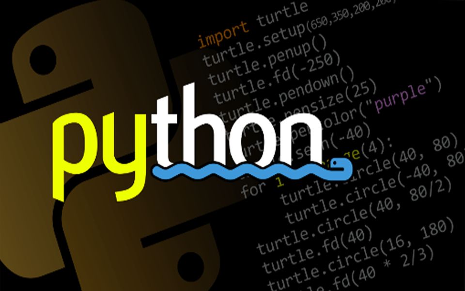 Python语言程序设计