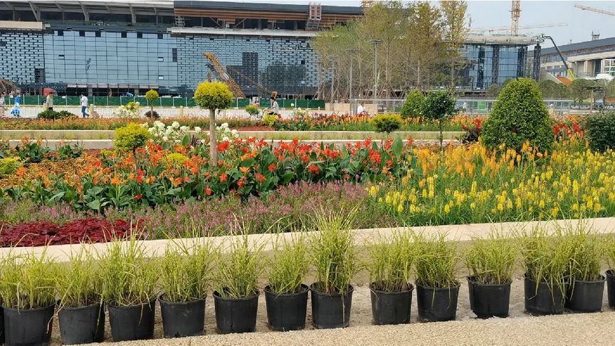 西安火车站北门一一对面大明宫遗址公园南大门:我今早拍的不能叫