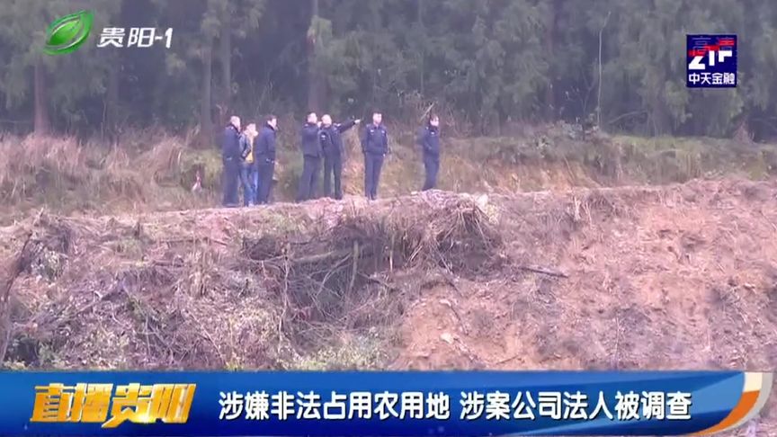 涉嫌非法占用农用地,涉案公司法人被调查,这是背后有人?