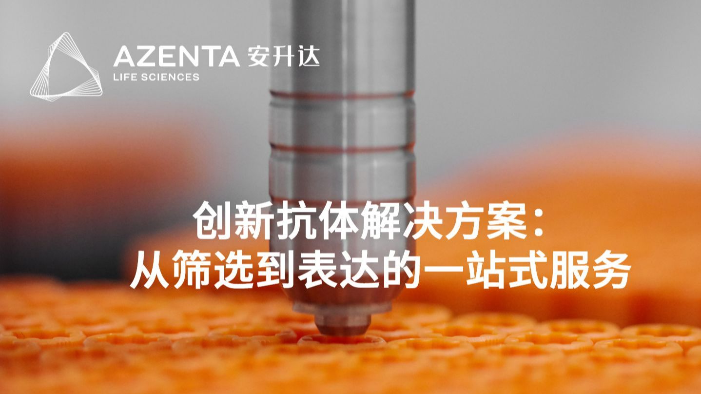 创新抗体解决方案:从筛选到表达的一站式服务