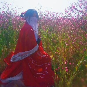 清吟浅唱77 