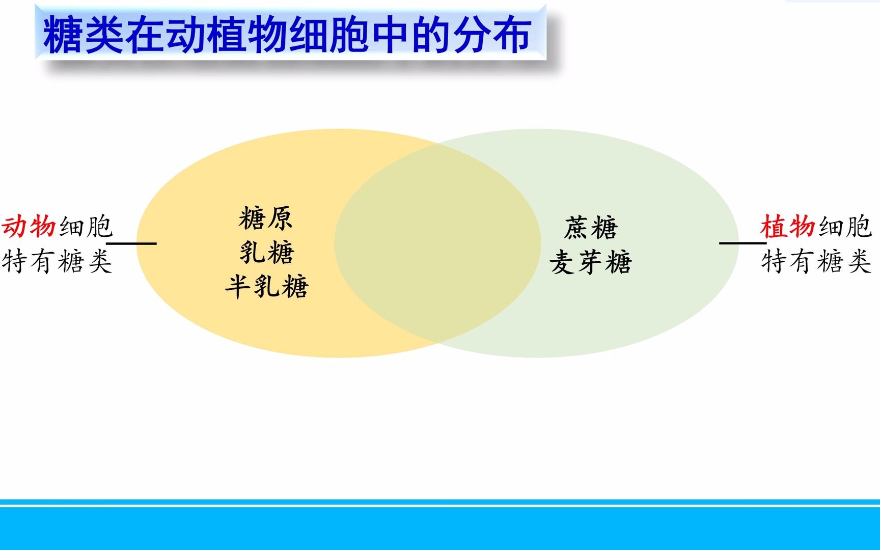 擅学高中生物一轮复习微课1.4.5糖类在动植物细胞中的分布-142
