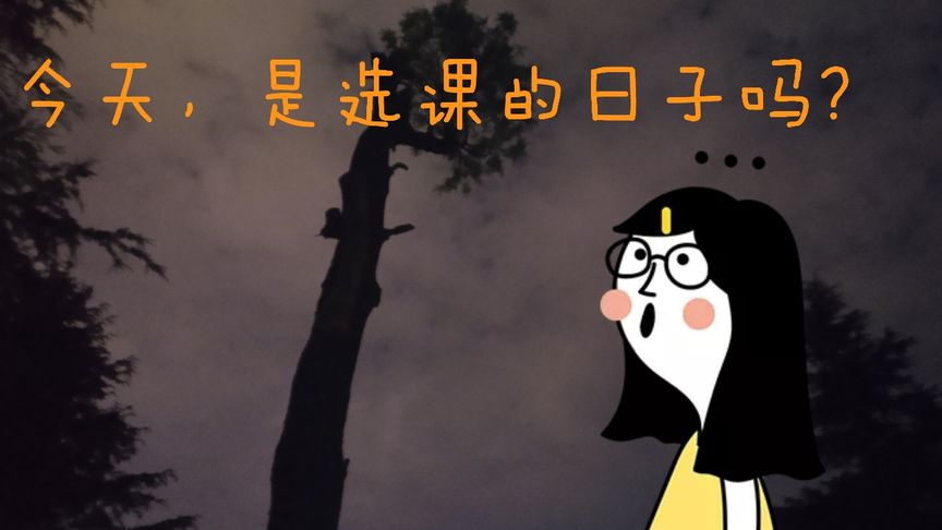 高校的教务系统总是崩溃?跟小宁来看一下,新系统选课有多好用～