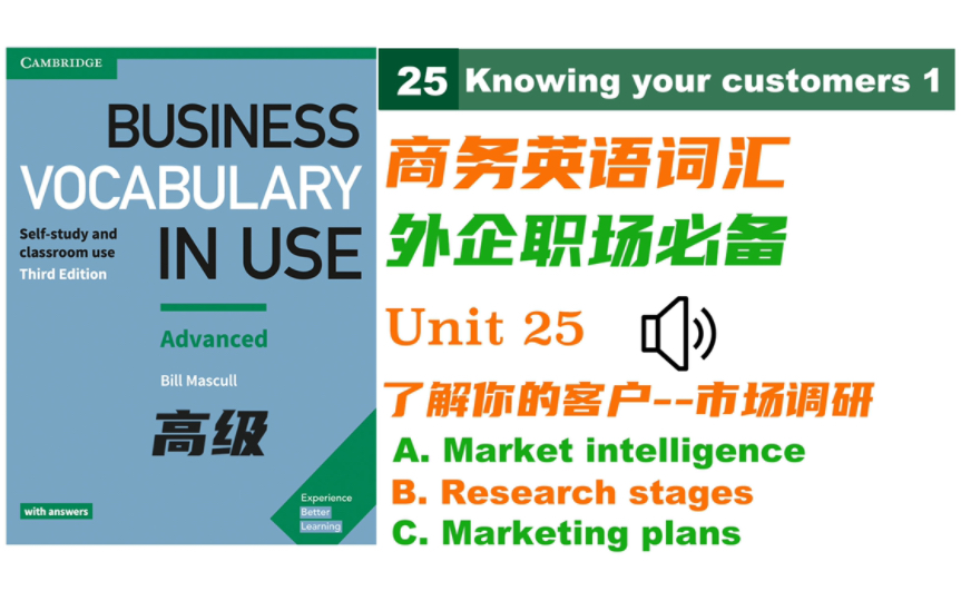 【商务英语】市场调研,了解目标客户|Business Vocabulary in Use 高级 ...