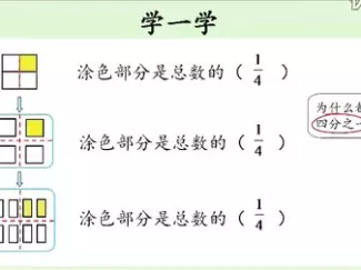 分数的简单应用