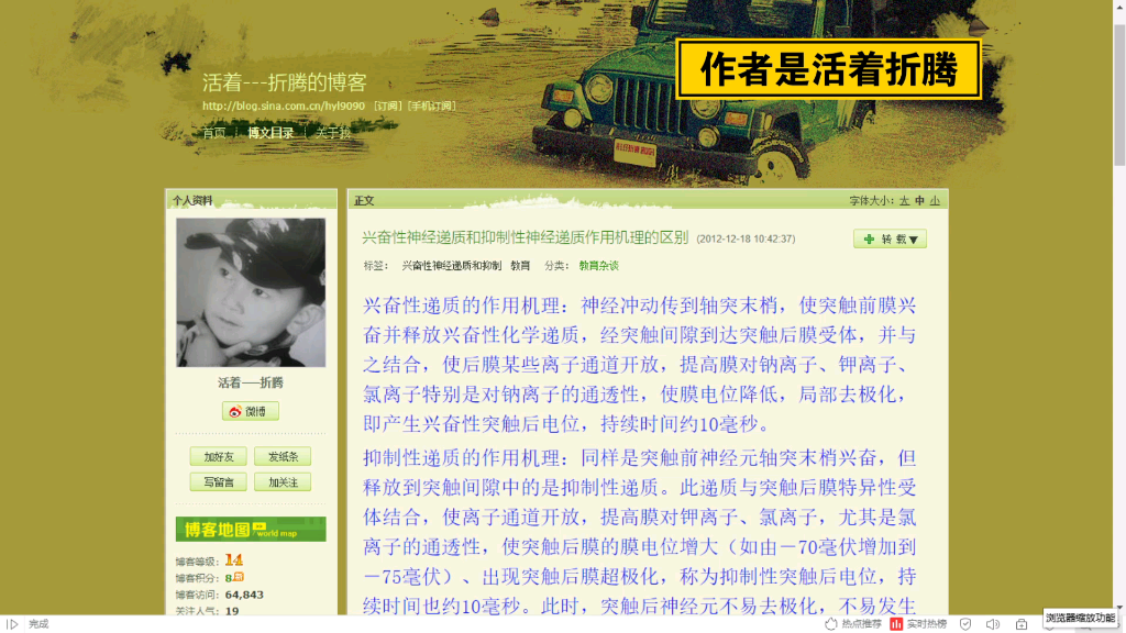 兴奋在神经元之间的传递突触与神经递质神经受体