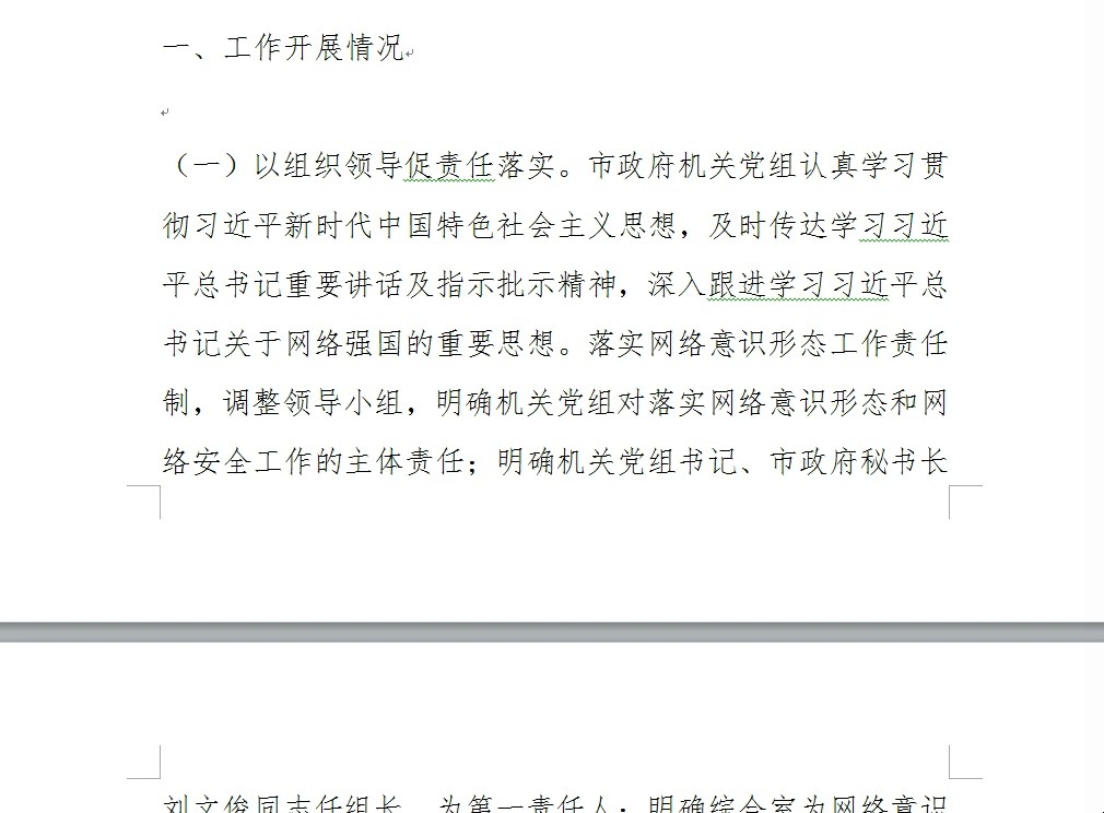 关于2024年度网络意识形态和网络安全工作责任制落实情况的报告