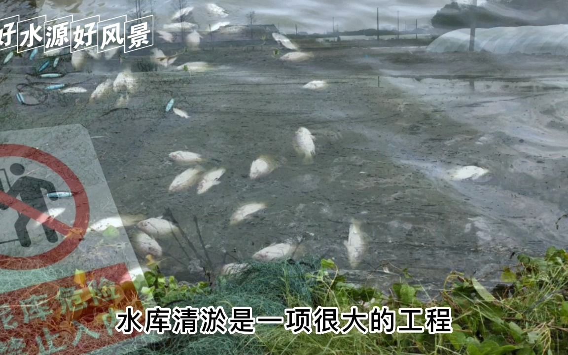 交换量不足的水库,污染物累积是导致水体富营养化的主要原因,水库...
