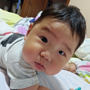 皮特派 