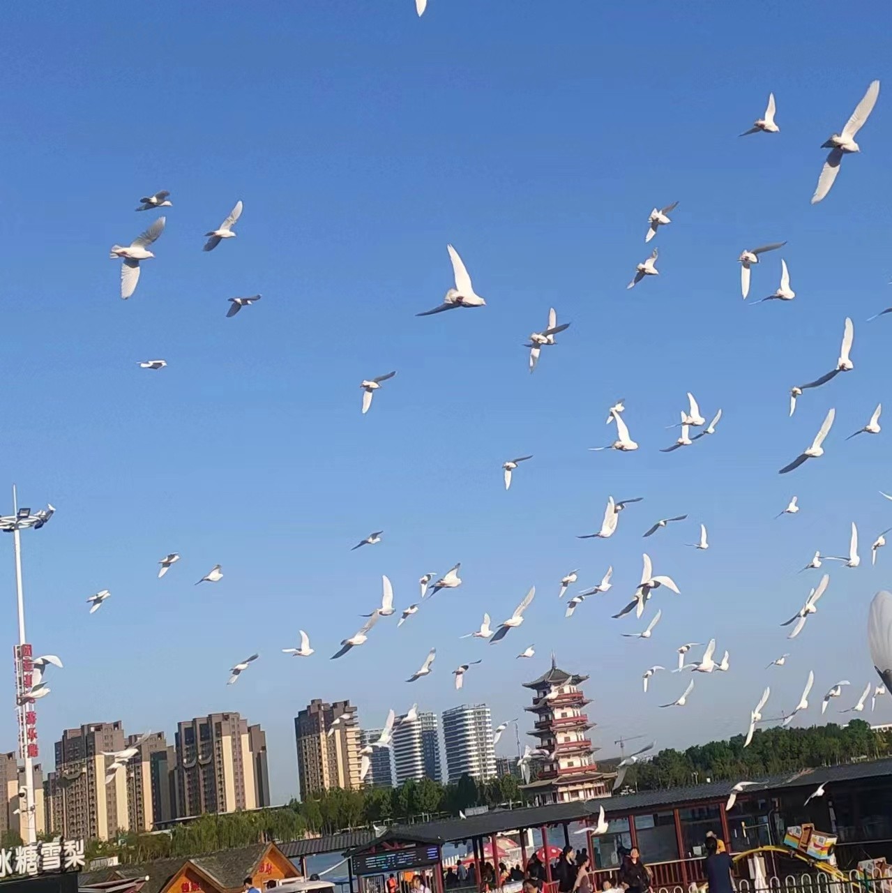 小宇不做咸鱼 