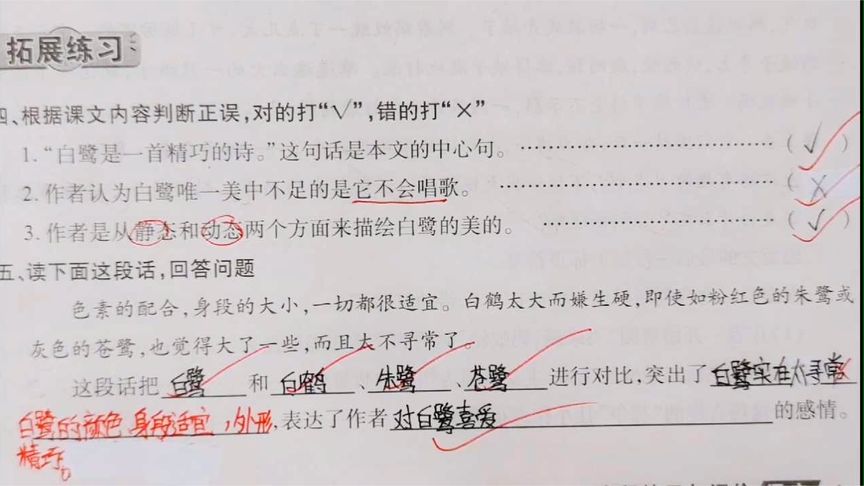 五年级上《白鹭》练习,白鹭是一首精巧的的诗,从哪两方面来写的
