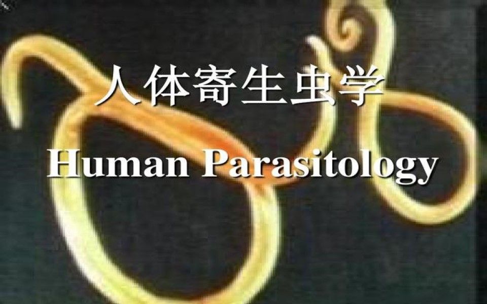 【寄生虫ߪ�考前必看】人体寄生虫显微镜、液镜标本复习(包括医学...