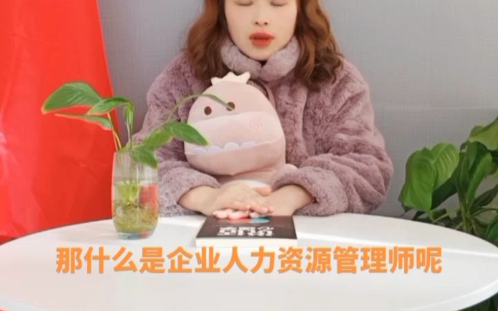 29企业人力资源管理师